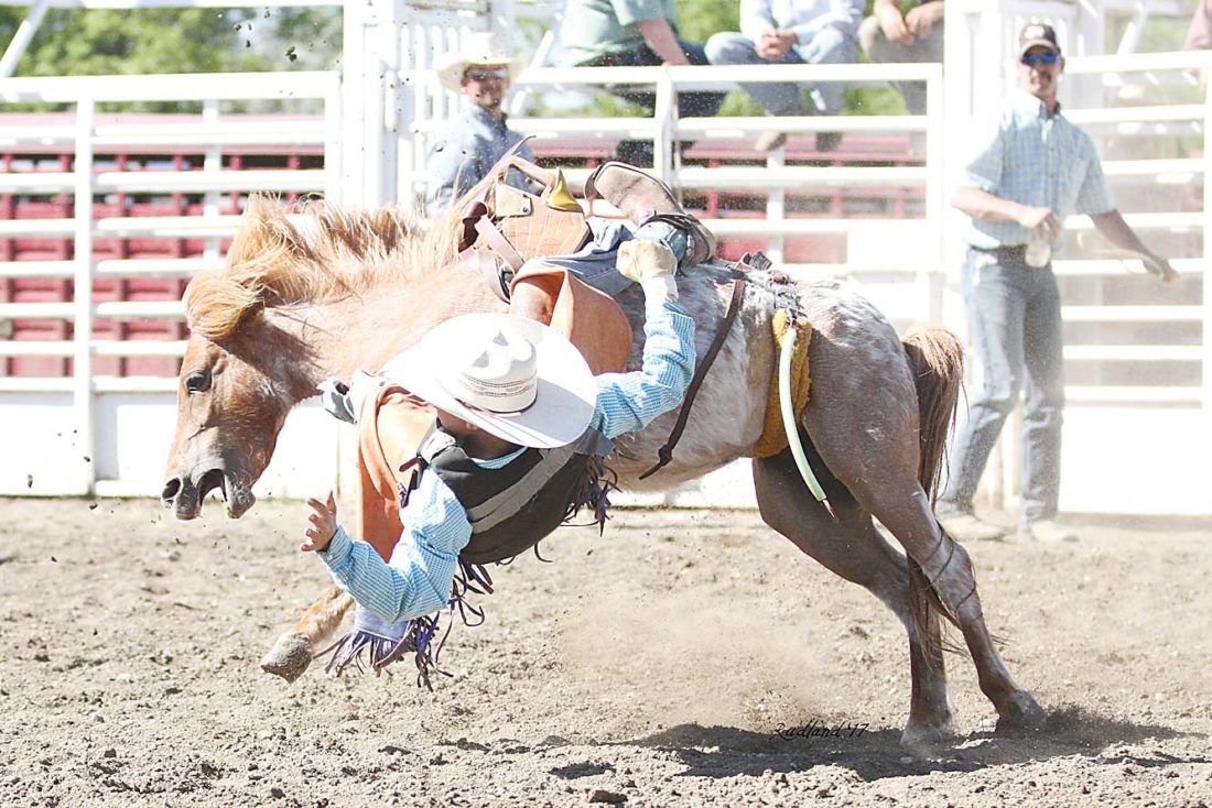 Child rough stock riders on the rise | News, Sports, Jobs - Minot Daily ...